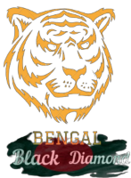 Best Cybersecurity & Penetration Testing Services in Bangladesh | Byte ...